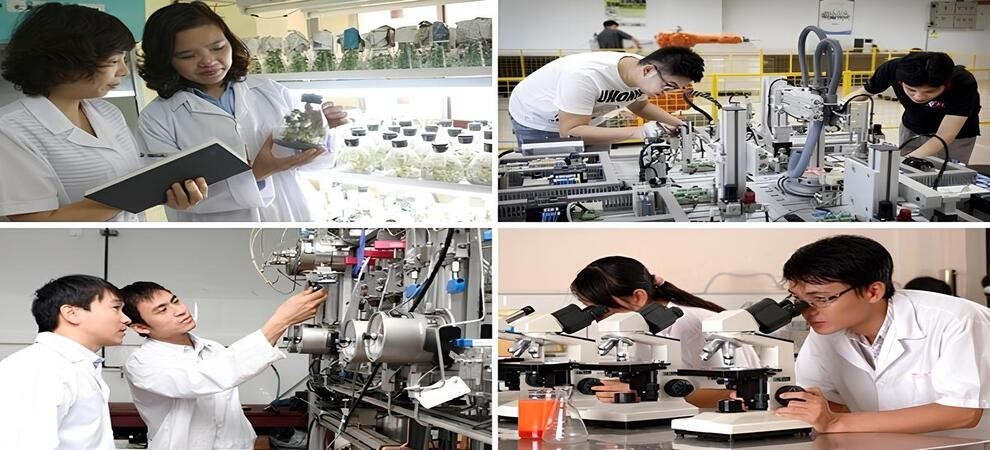Vietnam, RoK enhance science, technology collaboration